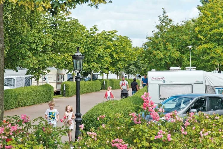 Camping | Fyn, Bøsøre Strand